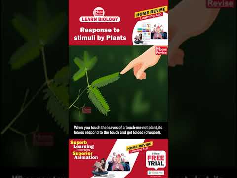 Response to stimuli by Plants | Learn Biology with Home Revise