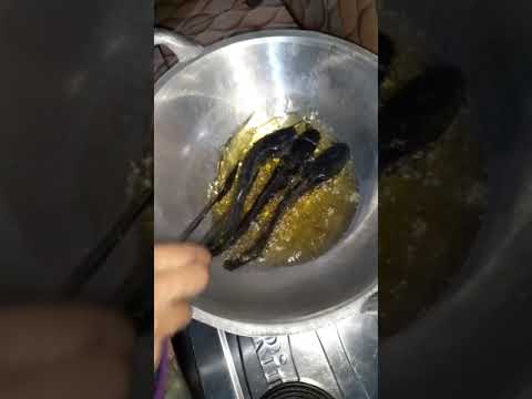 cara menggoreng ikan lele supaya lurus dan tidak meletup