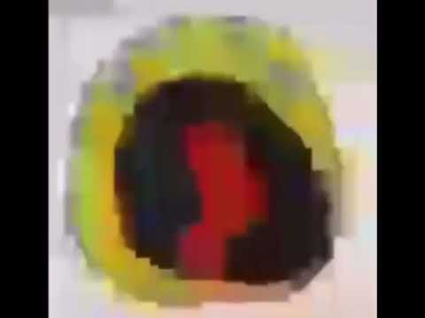 Crying emoji meme
