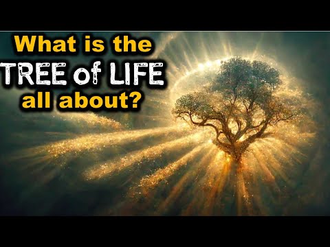 We Studied the Tree of Life in the Bible (Here’s What We Found)