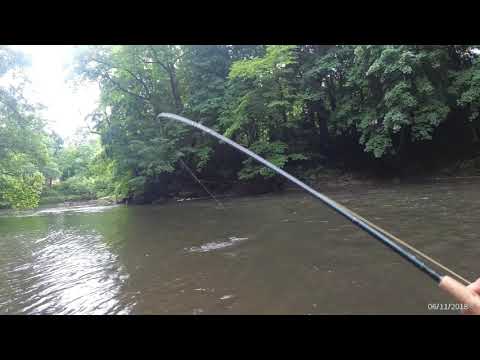 Big Musconetcong Brown
