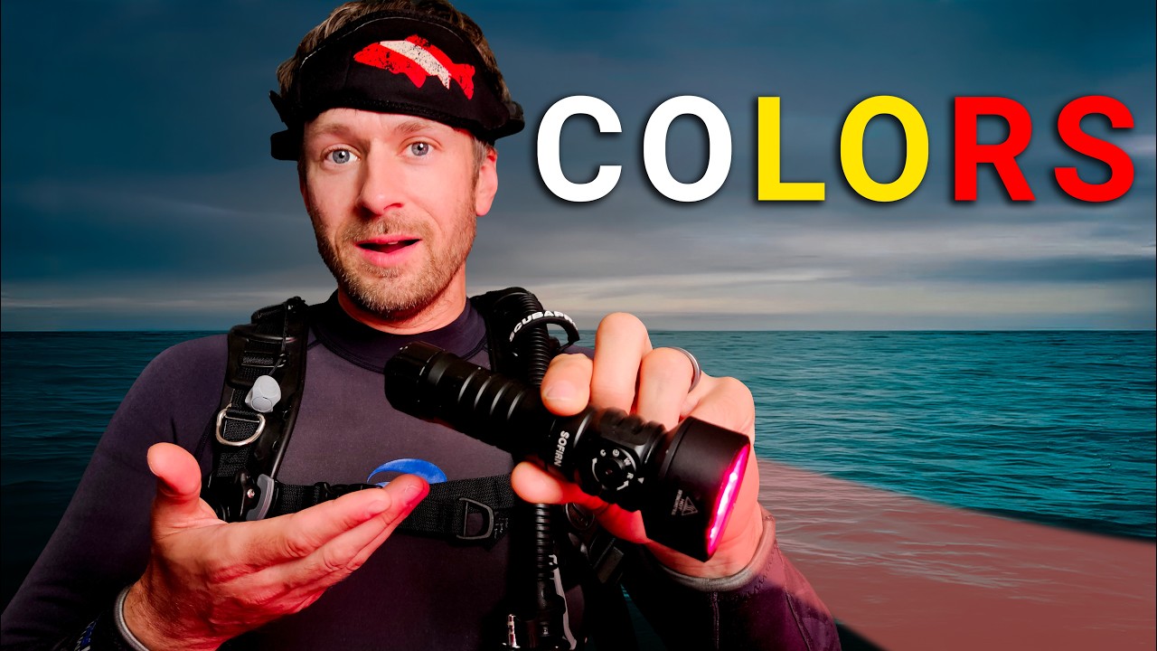 Testing the Sofirn SD11 in Real Diving Conditions