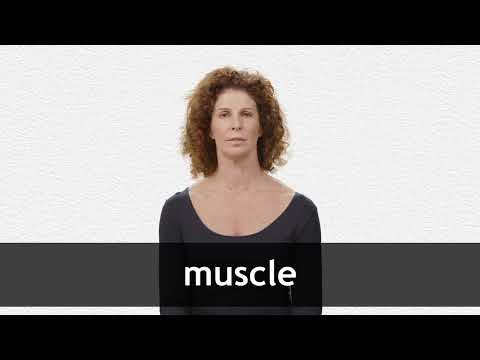 MUSCLE definition and meaning | Collins English Dictionary