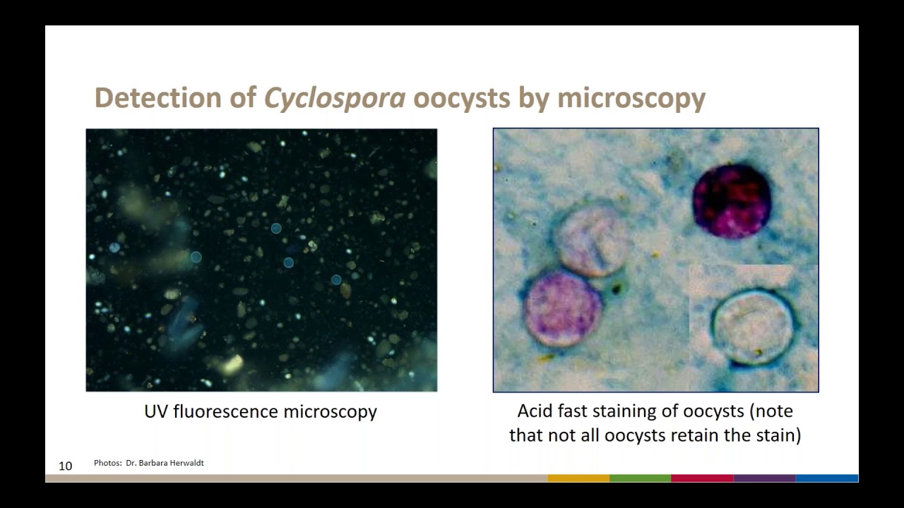 AFDO Cyclospora Webinar