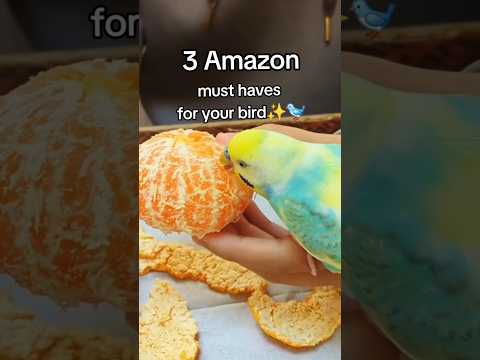 3 AMAZON Bird toys ππΈ
