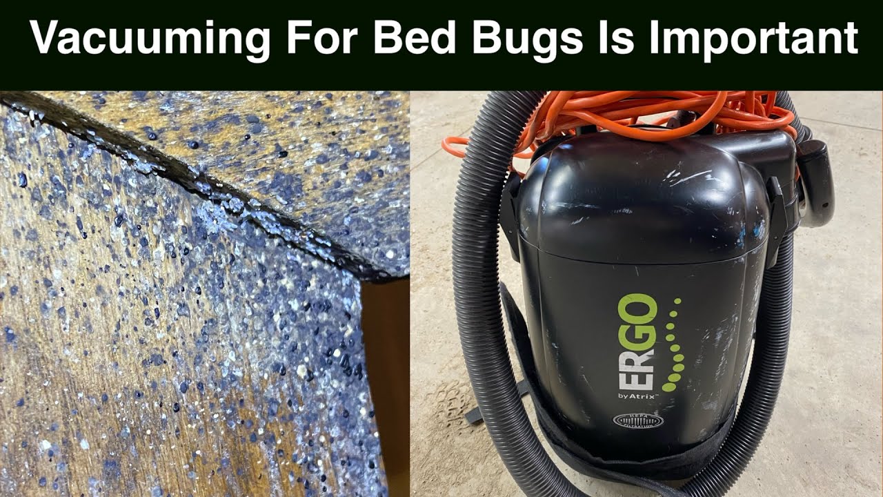 A Bed Bug Vacuum Is A Crucial Part Of Our Process