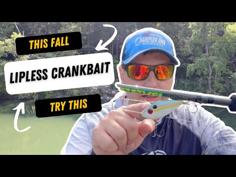 How To EFFECTIVELY Fish a Lipless Crank: GREAT Fall Technique
