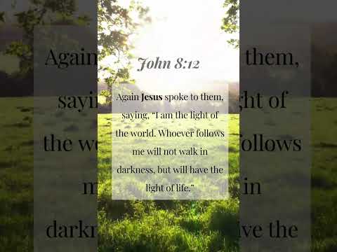 John 8:12   Jesus is the light of the world 💡 #lightoflife #jesus #jesuschrist