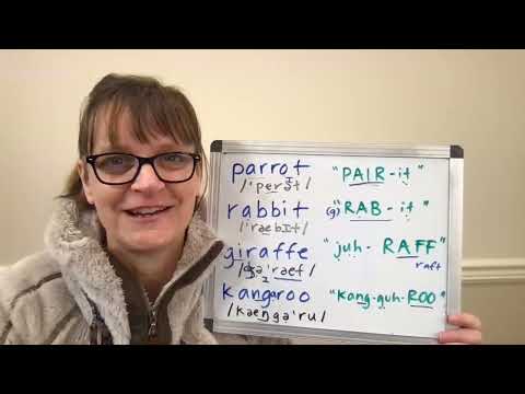 How to Pronounce Parrot, Rabbit, Giraffe and Kangaroo