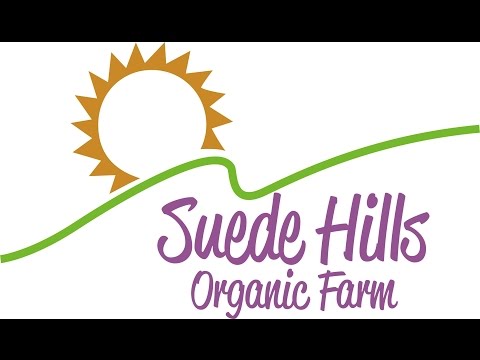 SUEDE HILLS pH urine test & strips explained