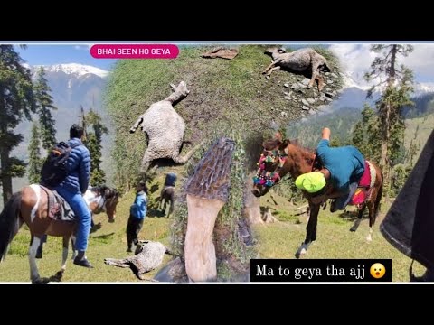 best travel vloggers on youtube India 🇮🇳