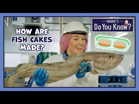 How are Fishcakes made? 🍥 Maddie's Do You Know 👩