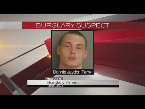 Gardendale Burglary