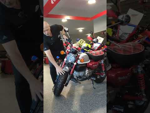 2024 Honda MC Monkey!