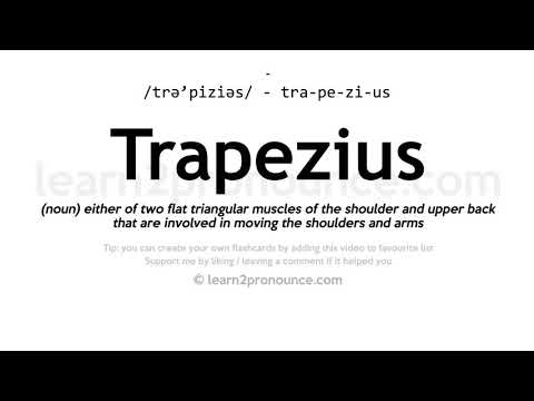 Trapezius pronunciation and definition