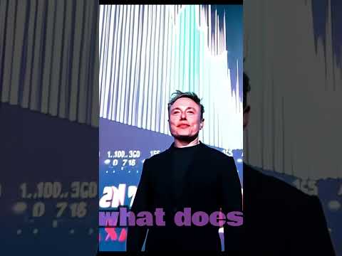 "How Elon Musk Became the World’s Richest Man"