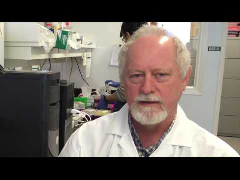 Gene mutations shown to cause form of HSP