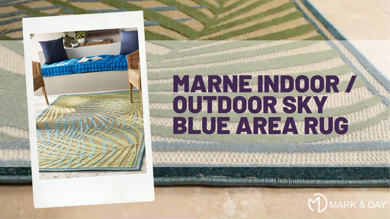 Marne Indoor / Outdoor Sky Blue Area Rug