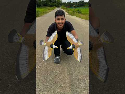 Remote control bird rc car lol