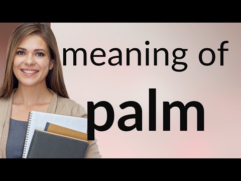 Palm • PALM definition