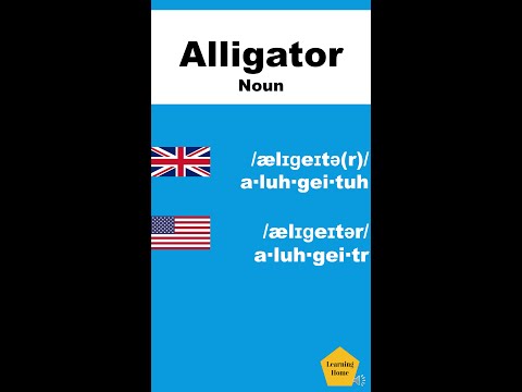 Alligator meaning pronunciation and synonyms #Shorts