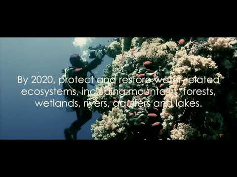 #CleanWaterAndSanitation | UN Sustainable Development Goals #6