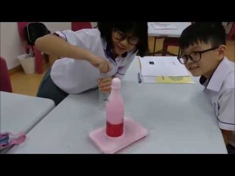 IPC Class science class (P3-P4)