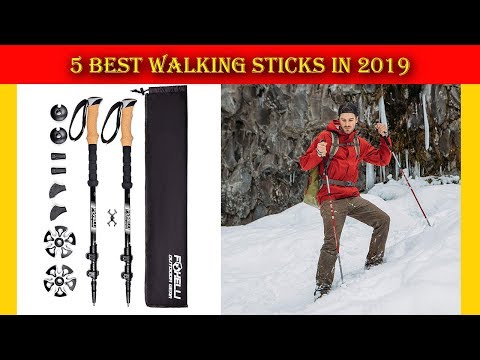 5 Best walking sticks in 2019