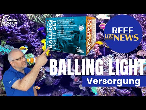 Alles über Balling Light und wie man es am besten einsetzt