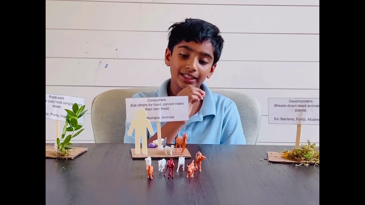 Producers, Consumers and Decomposers