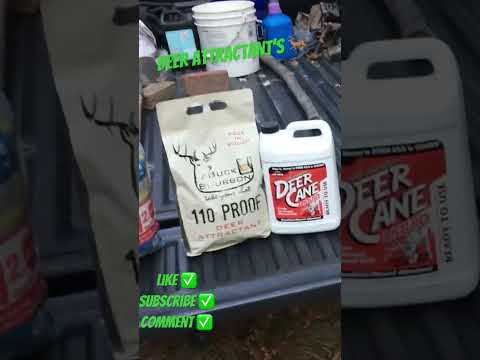 DEER ATTRACTANTS!!!! Big &j apple, Buck bourbon, deer cane