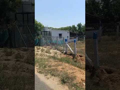 Murugakovundanpudur | Punjai Puliampatti | 1 acre 7 cents | 80 L | GK Business Solutions