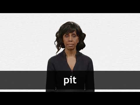 PIT - Definition & Translations | Collins English Dictionary