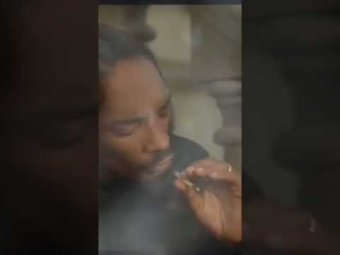 Stoner Etiquette 101 #1 Joint Bogart