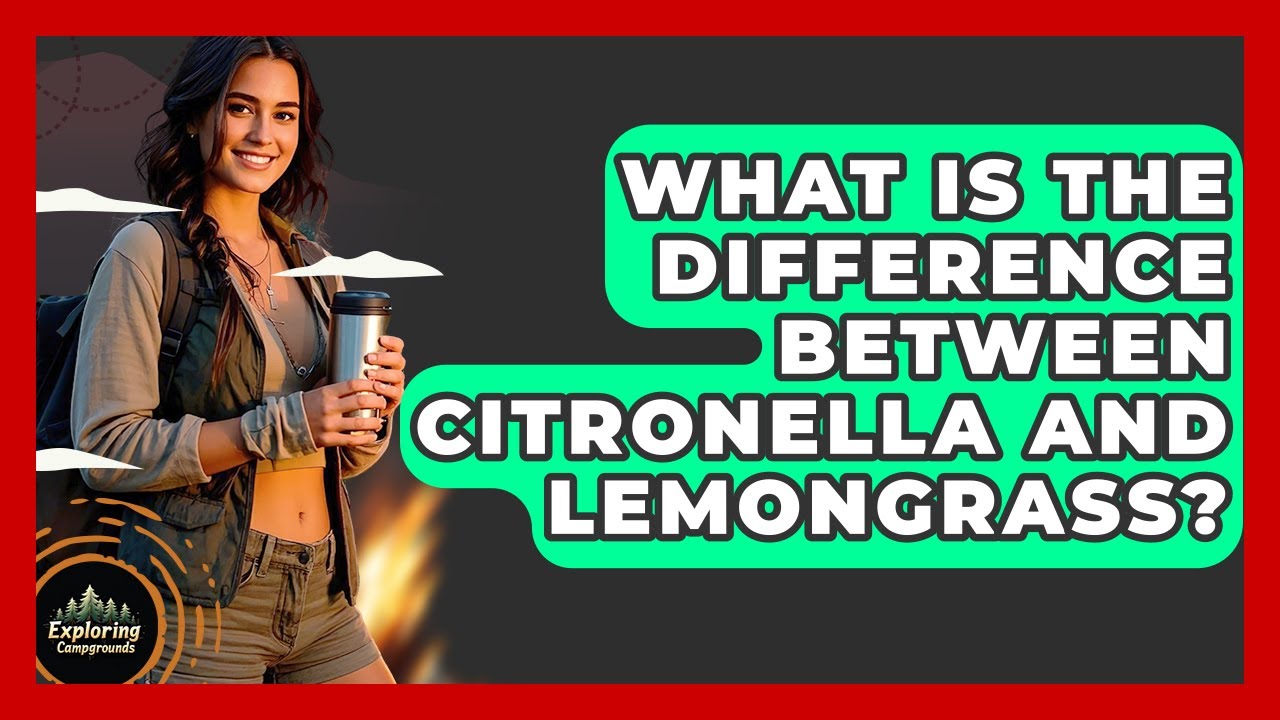 What Is The Difference Between Citronella And Lemongrass? - Exploring Campgrounds