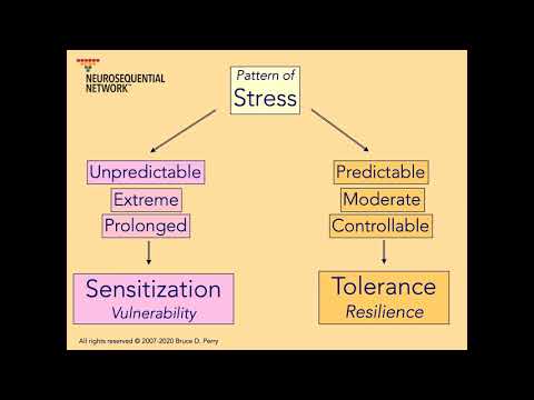 Neurosequential Network: Stress & Resilience COVID 2020 with Dr. Perry