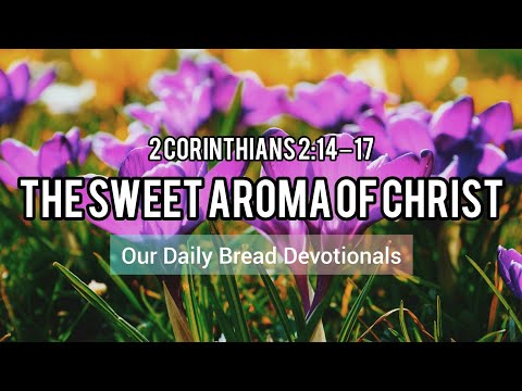 The Sweet Aroma of Christ
