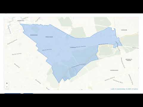 Zip Code 11385 (NY) Social & Economic Profile
