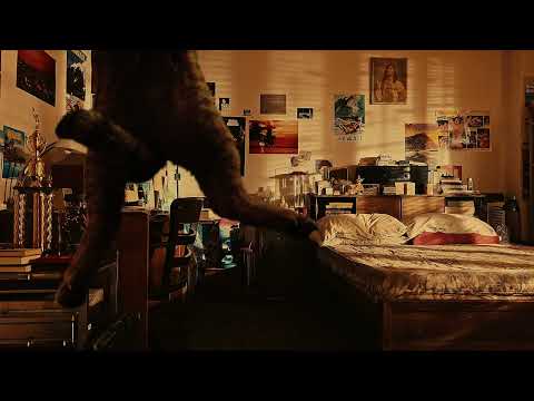 Bold Eagle Trailer | SDAFF 2023