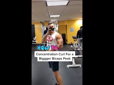 How to PROPERLY Perform Concentration Curls (For A Bigger Biceps Peak!)
