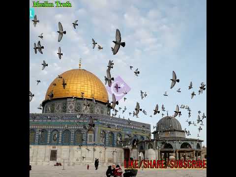 Islamic States❣️Beautiful pictures of Mosque🕌☪️#islamicstatus#islamicvideo @Muslim_-Truth
