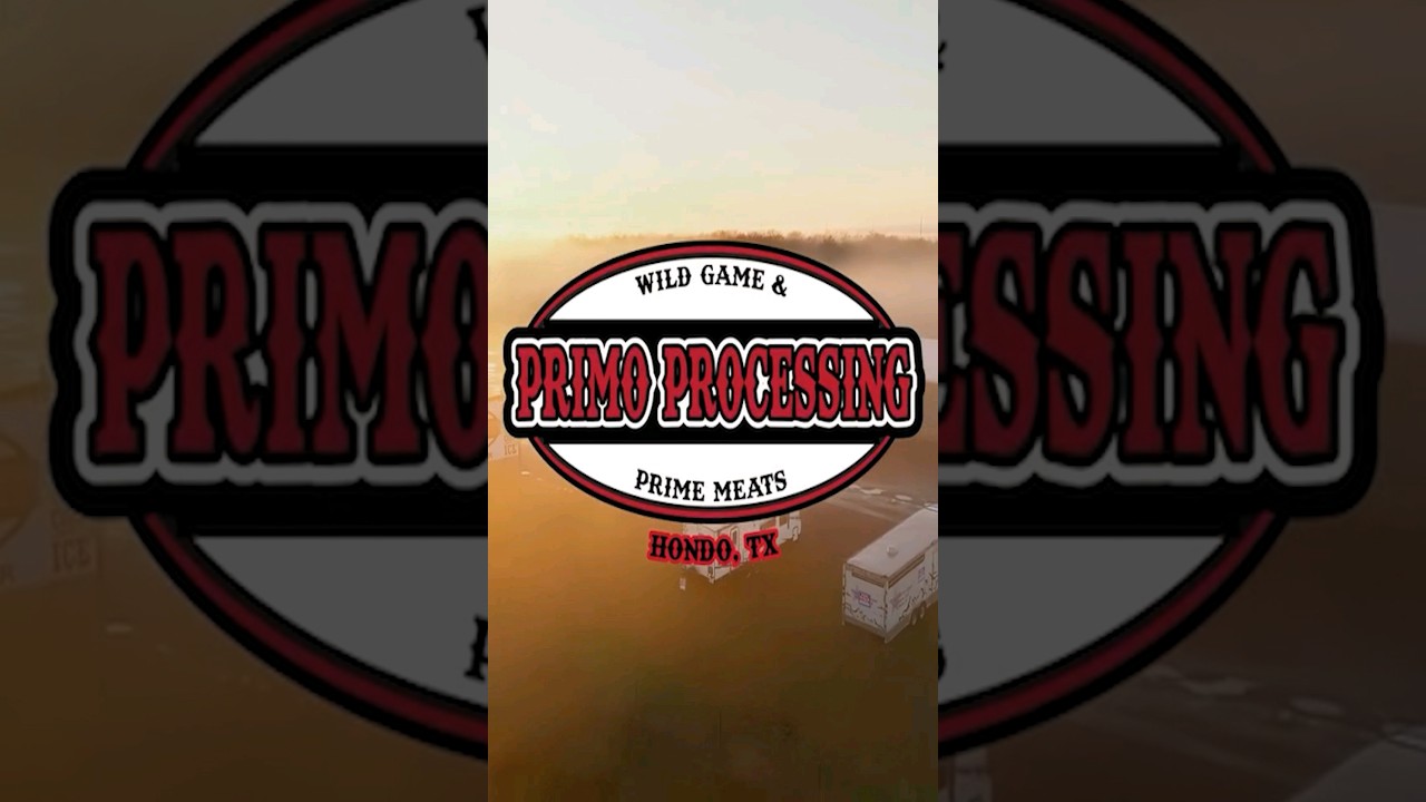 best meat processing texas - primo processing #shortsvideo #gruntstyle #foodies #exotic  #influencer