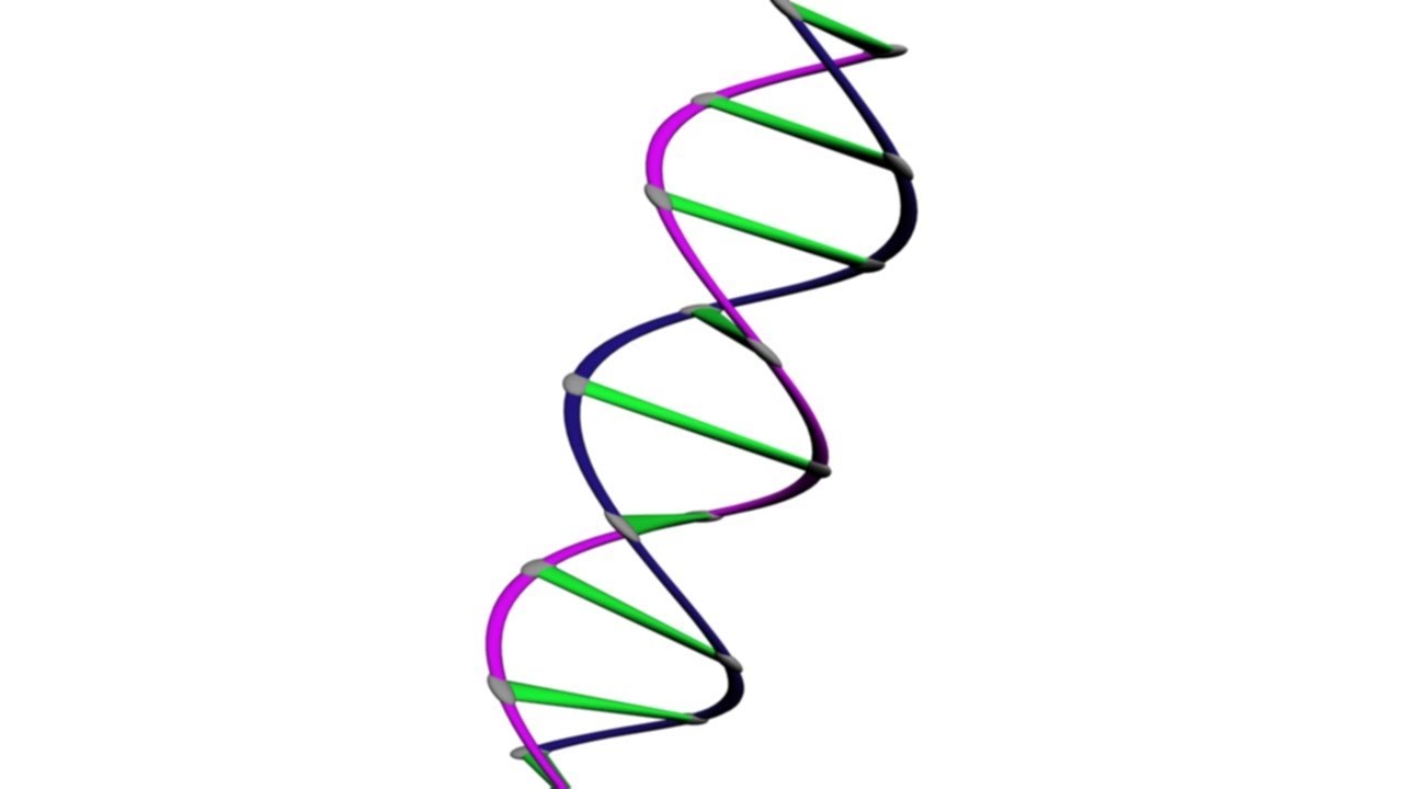 Modeling DNA in 3Ds max