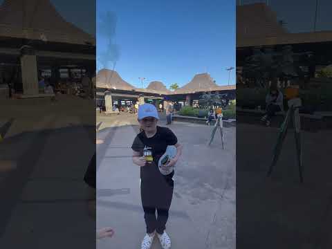 We Took a Day Trip to Kona on the Big Island - Hawaii