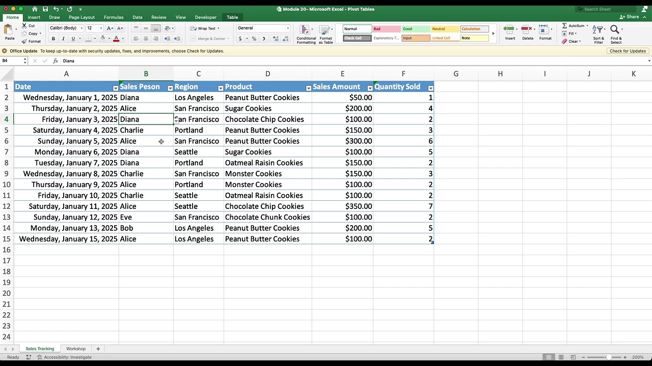 Module 20  Microsoft Excel   Pivot Tables Part2