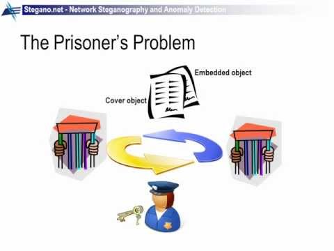 Evolution of Steganography