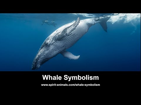 Whale Symbolism