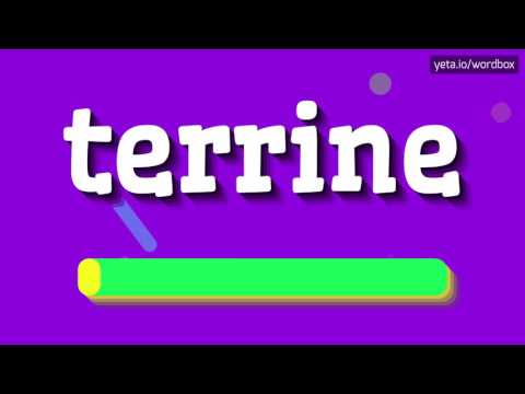 TERRINE - HOW TO PRONOUNCE IT!?