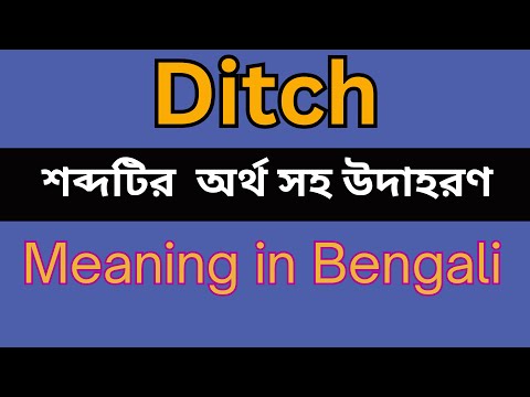 Ditch Meaning In Bengali /Ditch mane ki