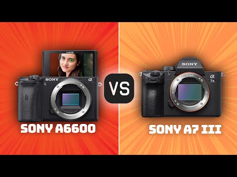 Sony A6600 vs Sony A7 III: Which Camera Is Better? (With Ratings & Sample Footage)